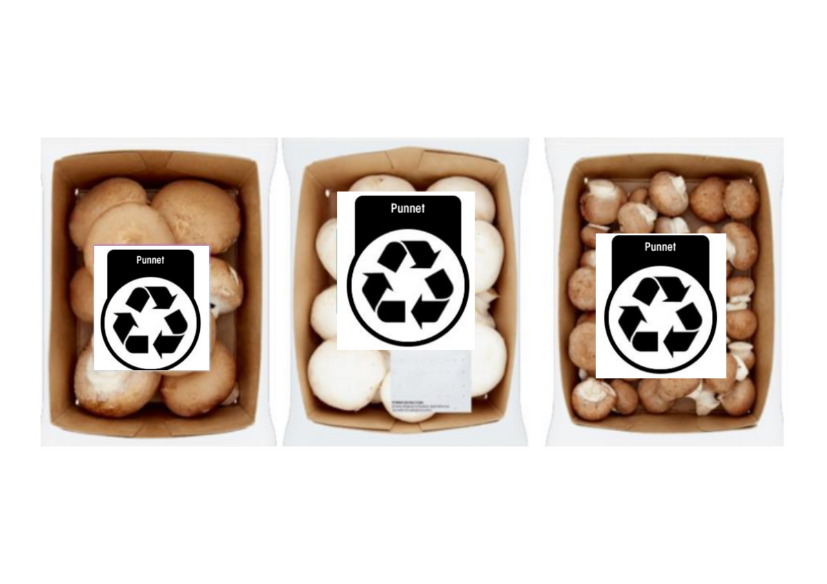 Cardboard Mushroom Punnets Eco-Friendly & Moisture-Resistant Packaging ...